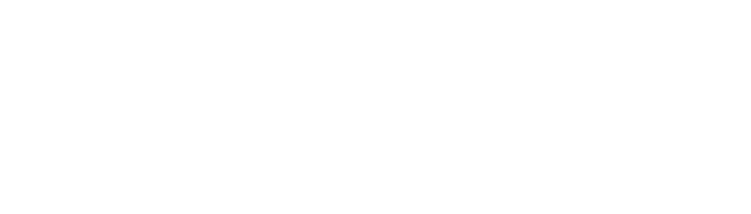 G05 - www.swm-motors.it